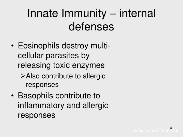 PPT - Lecture #12 – Animal Immune Systems PowerPoint Presentation - ID ...