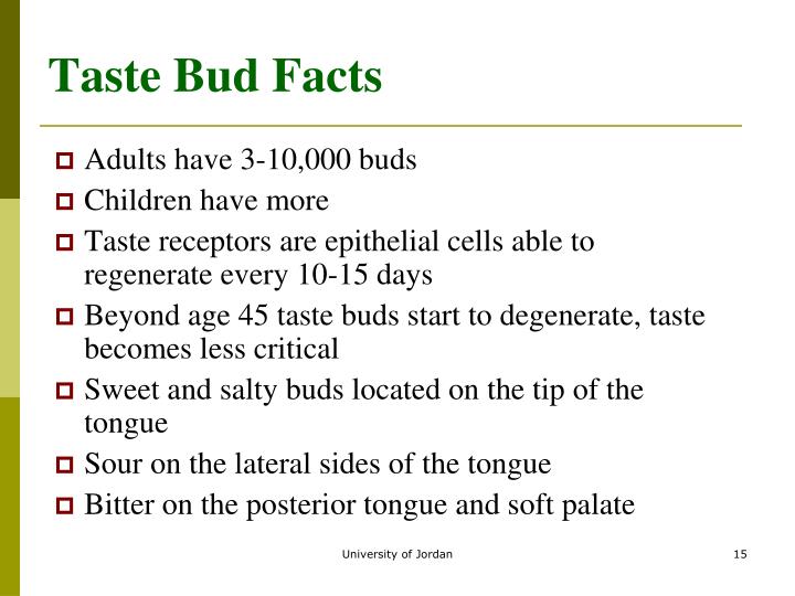 PPT - Gustatory and Olfactory Sensations (Taste and Smell) L14 ...