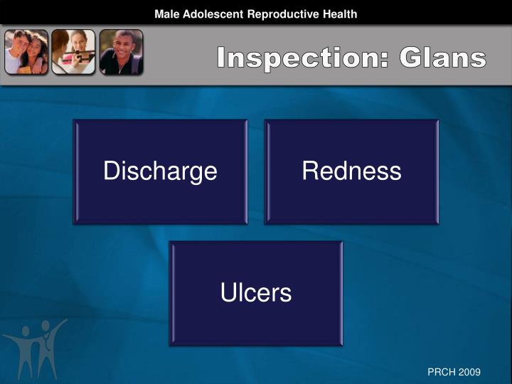 PPT - Male Adolescent Reproductive Health PowerPoint Presentation - ID ...