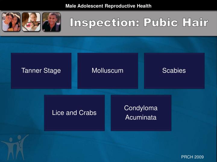 PPT - Male Adolescent Reproductive Health PowerPoint Presentation - ID ...