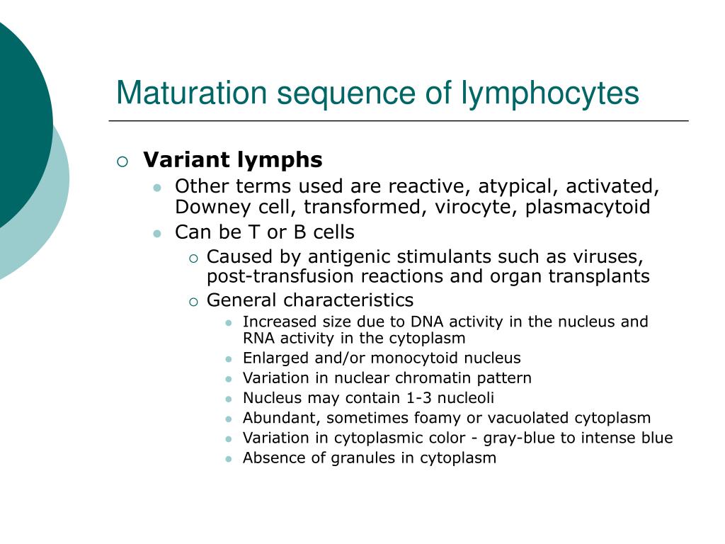 PPT - MLAB 1415- Hematology Keri Brophy-Martinez PowerPoint ...