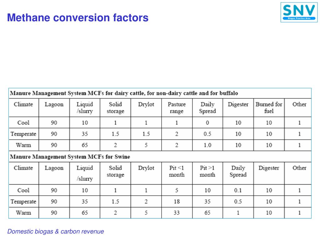 PPT - Domestic biogas & carbon revenue A strategy towards ...