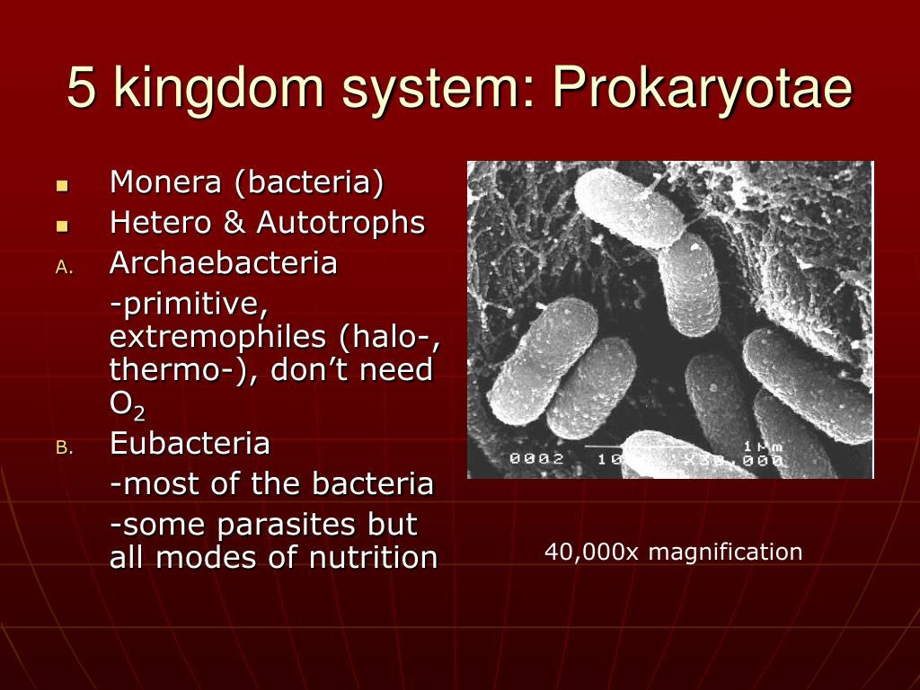 PPT - Biology the Science of Life PowerPoint Presentation, free ...