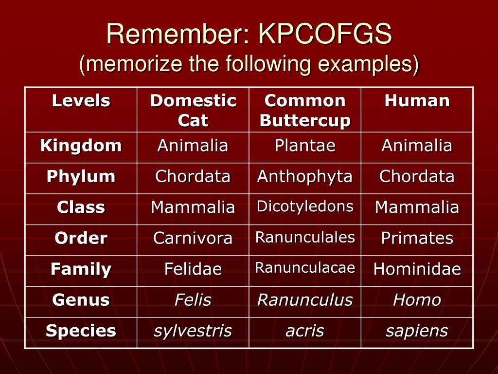 PPT - Biology the Science of Life PowerPoint Presentation, free ...