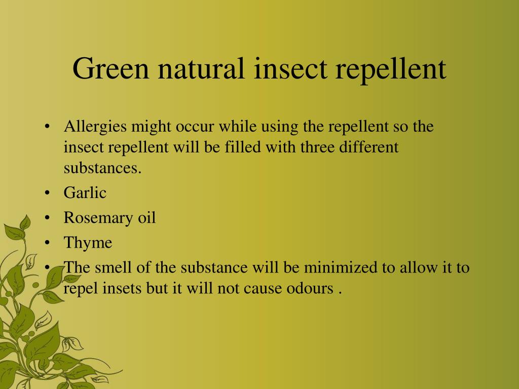 PPT - Our Invention: The GREEN Insect Repellent PowerPoint Presentation ...