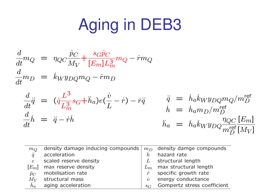 PPT - DEB3 Bas Kooijman Dept Theoretical Biology Vrije Universiteit ...