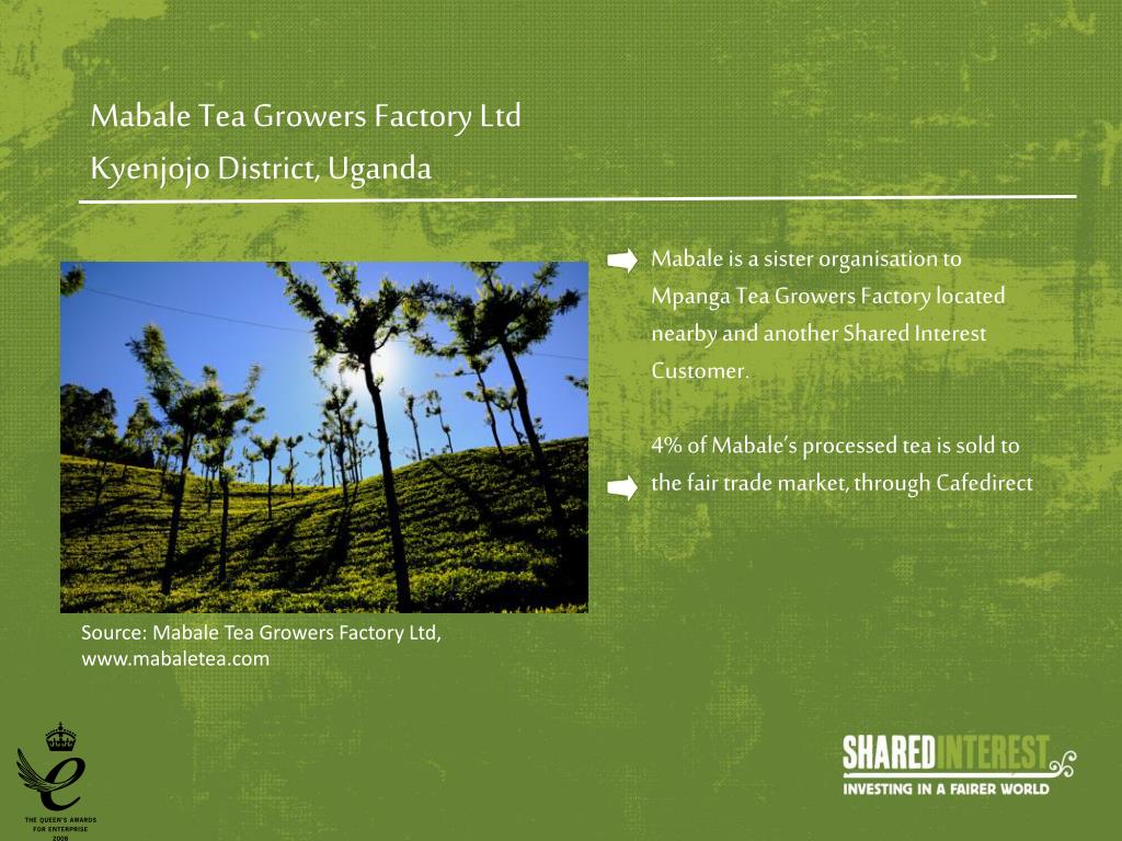 PPT - Mabale Tea Growers Factory Ltd Kyenjojo District, Uganda ...