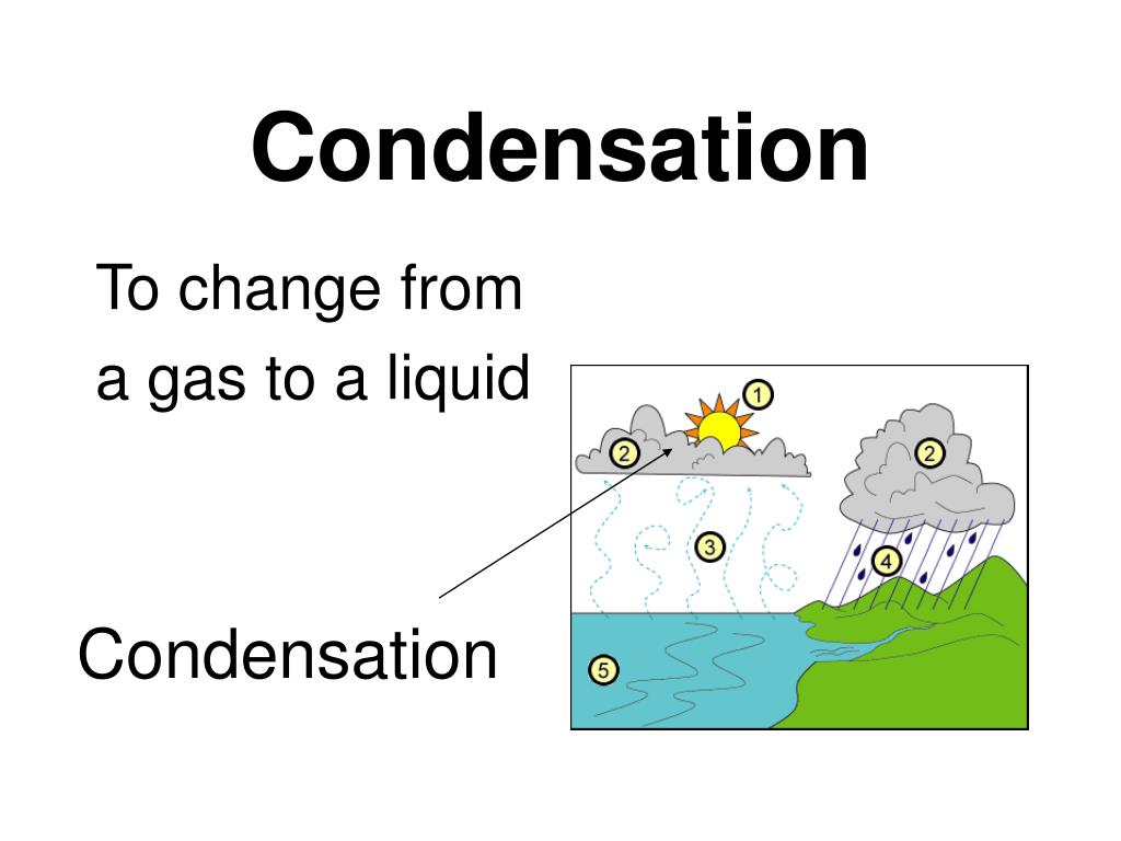PPT - 2nd Grade Vocabulary Part Six PowerPoint Presentation, free ...