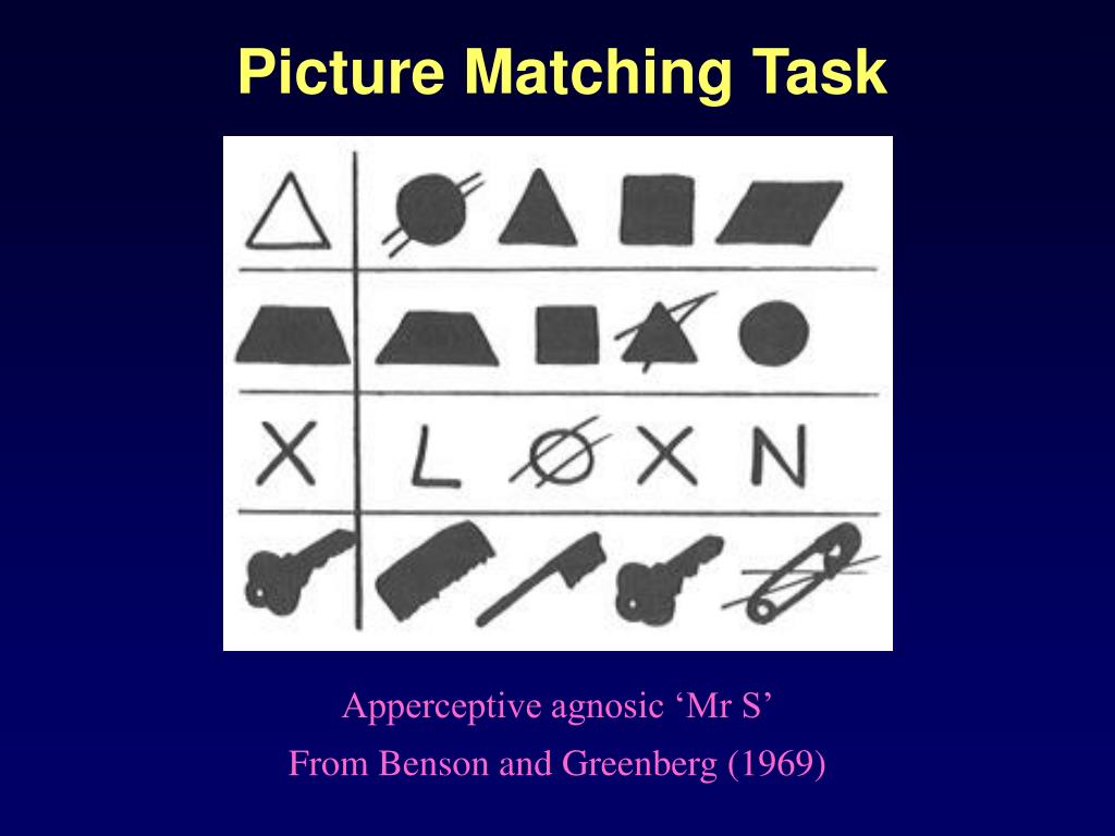 PPT - Objects and Faces: The Neuropsychology of Agnosia and ...