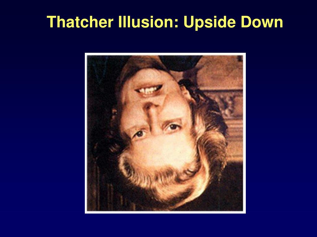 PPT - Objects and Faces: The Neuropsychology of Agnosia and ...