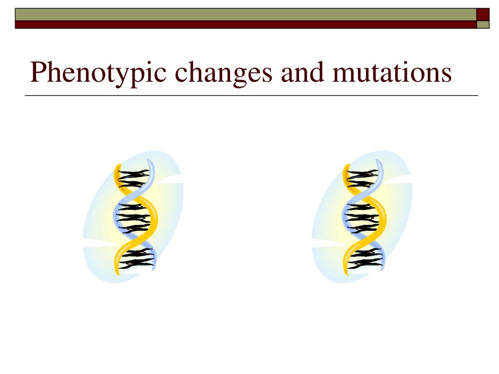 Ppt Dna Mutations And Repair Powerpoint Presentation Free Download