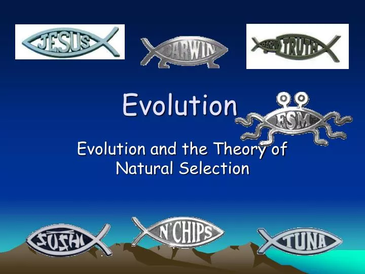 PPT - Evolution PowerPoint Presentation, free download - ID:3109886