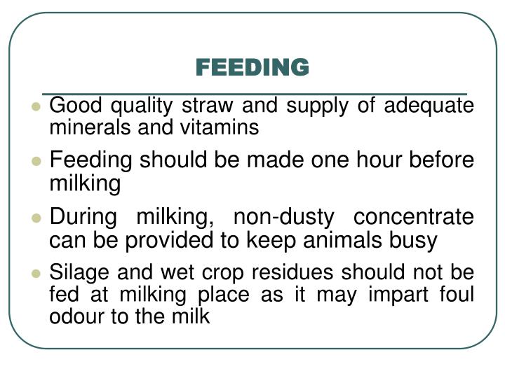 PPT - CLEAN MILK PRODUCTION (CMP) PowerPoint Presentation - ID:3110201