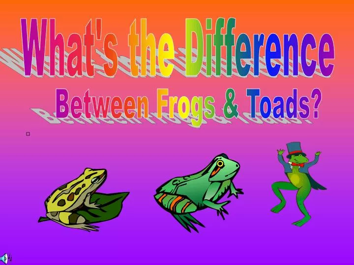 PPT - What's the Difference PowerPoint Presentation, free download - ID ...