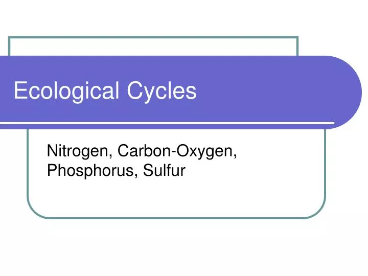 PPT - Ecological Cycles PowerPoint Presentation, free download - ID:3110802