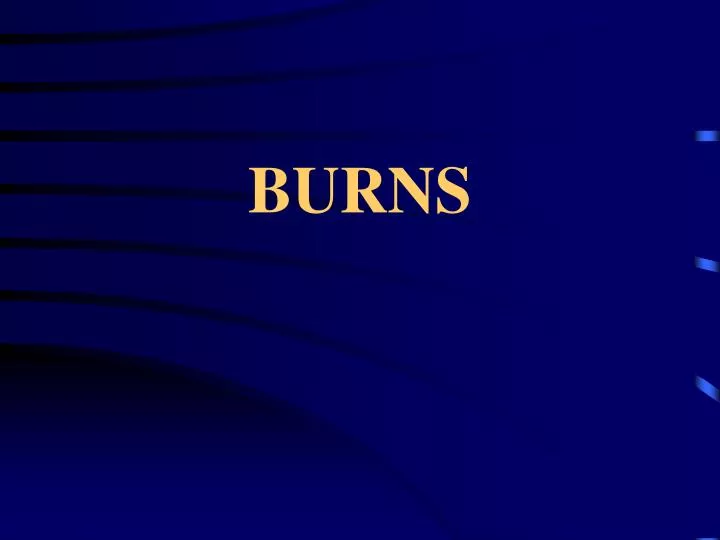 PPT - BURNS PowerPoint Presentation, free download - ID:3111094