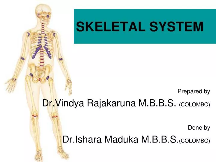 PPT - SKELETAL SYSTEM PowerPoint Presentation, free download - ID:3112105 PPT - SKELETAL SYSTEM PowerPoint Presentation, free download - ID:3112105