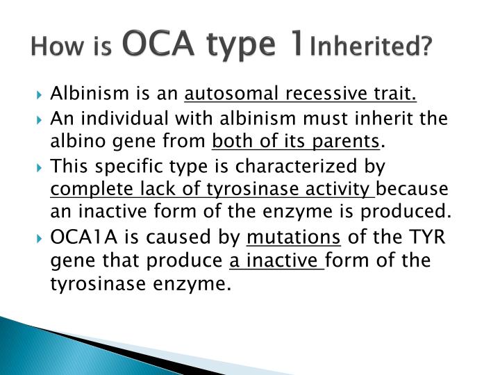 PPT - Oculocutaneous Albinism PowerPoint Presentation - ID:3113414