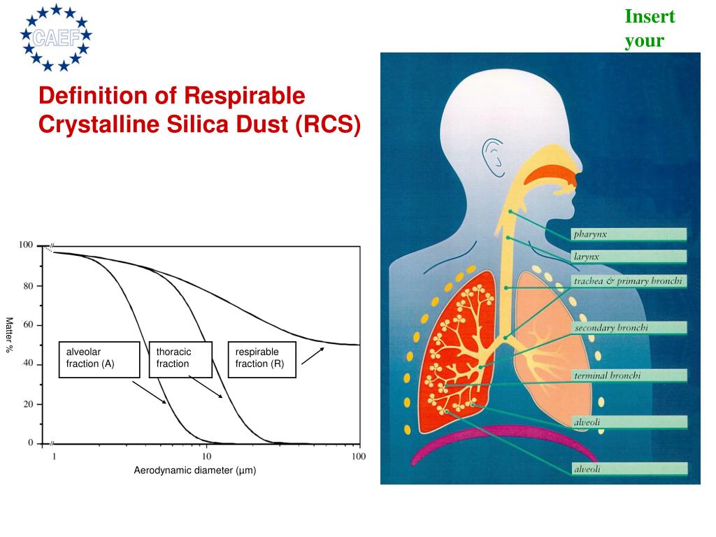 PPT - Prevention of Respirable Crystalline Silica at the workplace ...