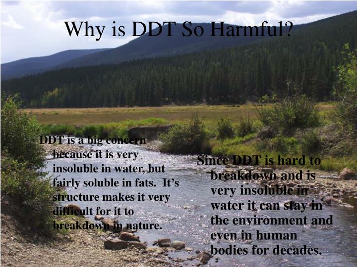 PPT - Harmful Effects of DDT on the Earth PowerPoint Presentation - ID ...
