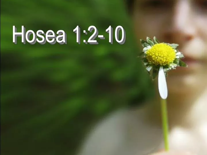 PPT - Hosea 1:2-10 PowerPoint Presentation, free download - ID:3114072
