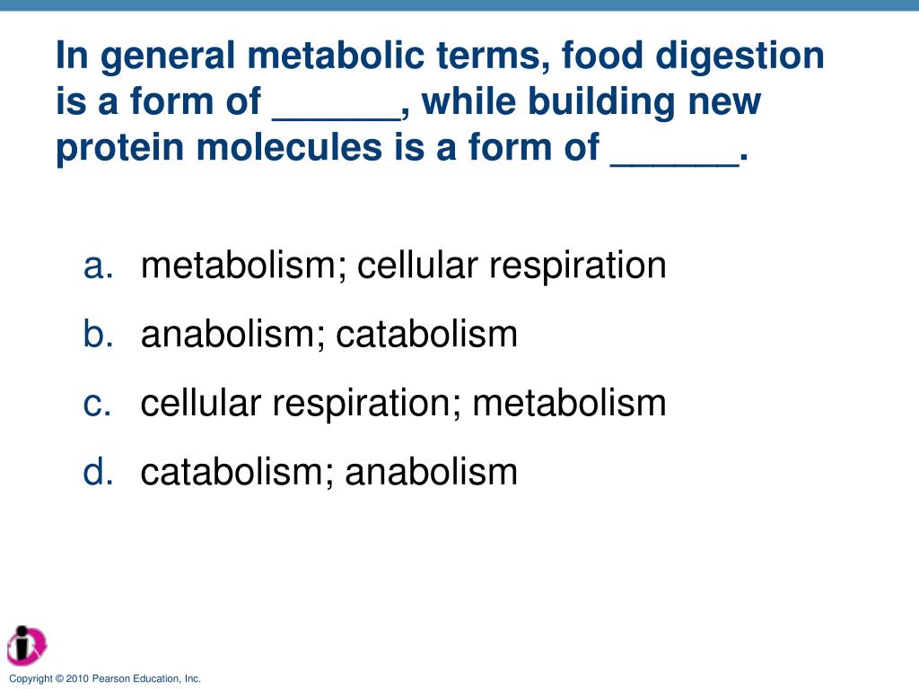 PPT - Nutrition, Metabolism, and Body Temperature Regulation PowerPoint ...