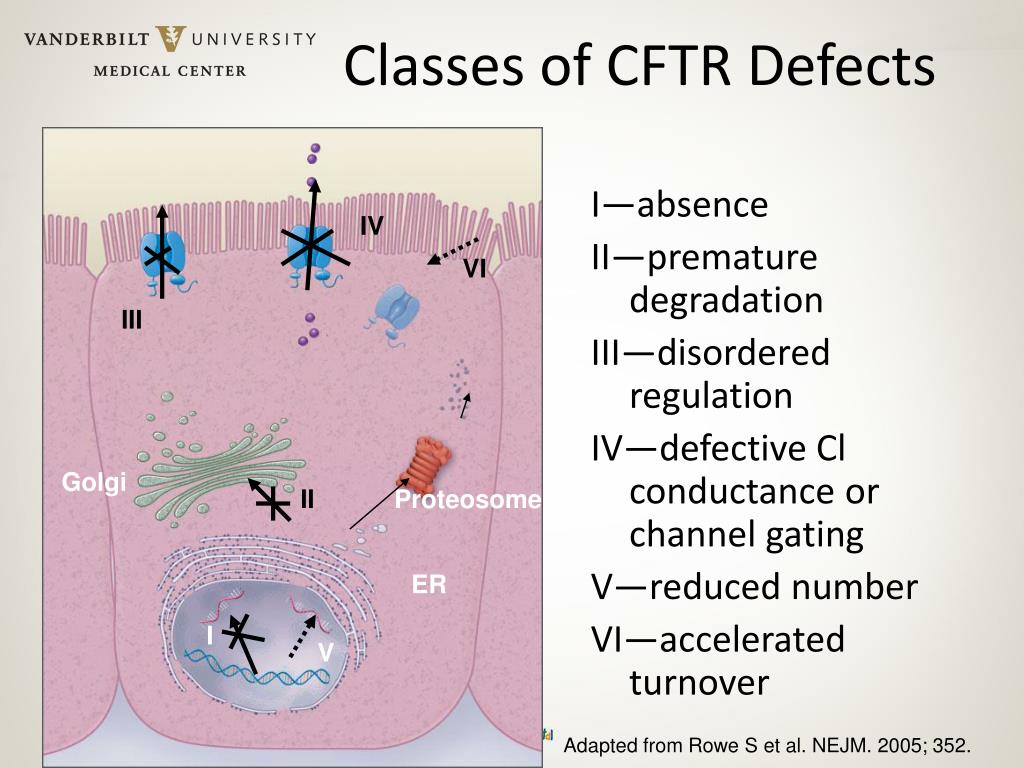 PPT - Significant Strides in the Treatment of Cystic Fibrosis ...