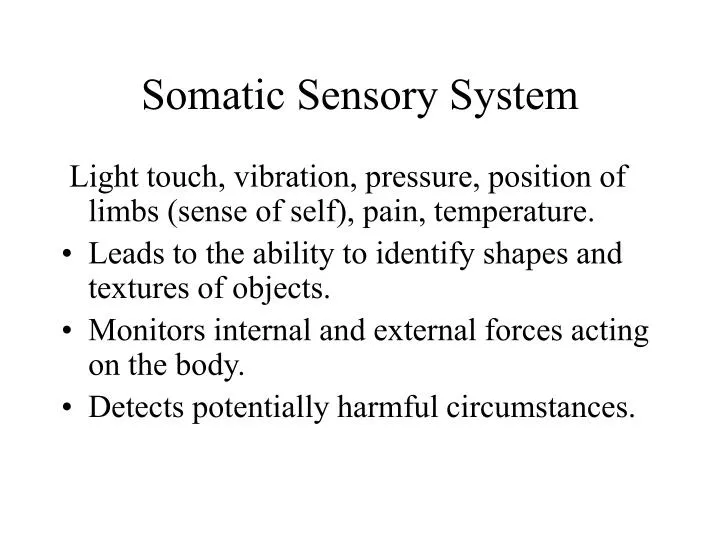 PPT - Somatic Sensory System PowerPoint Presentation, free download ...