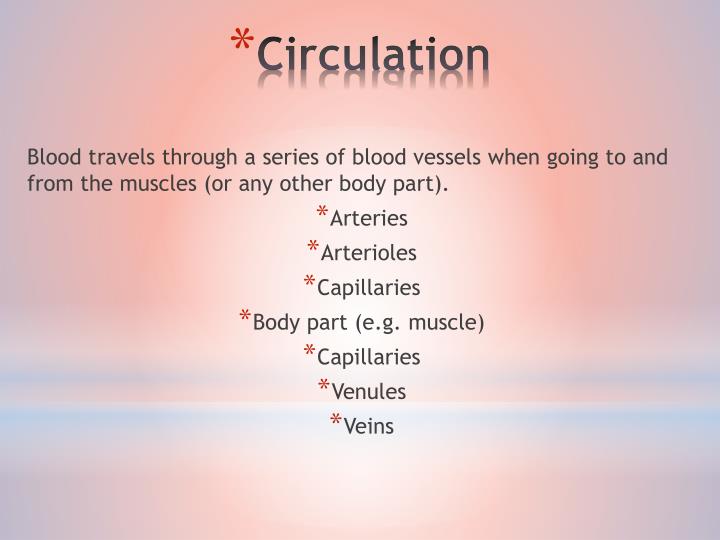 PPT - Blood Transport System PowerPoint Presentation - ID:3114725