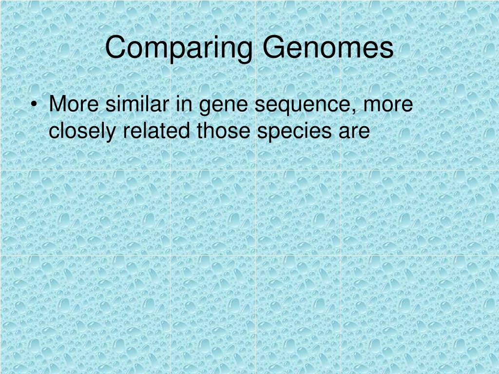 Ppt Chapter 21 Genomes And Their Evolution Powerpoint Presentation