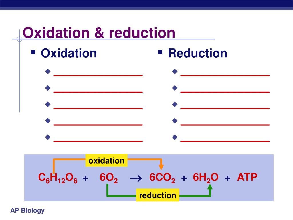 PPT - Cellular Respiration Harvesting Chemical Energy PowerPoint ...