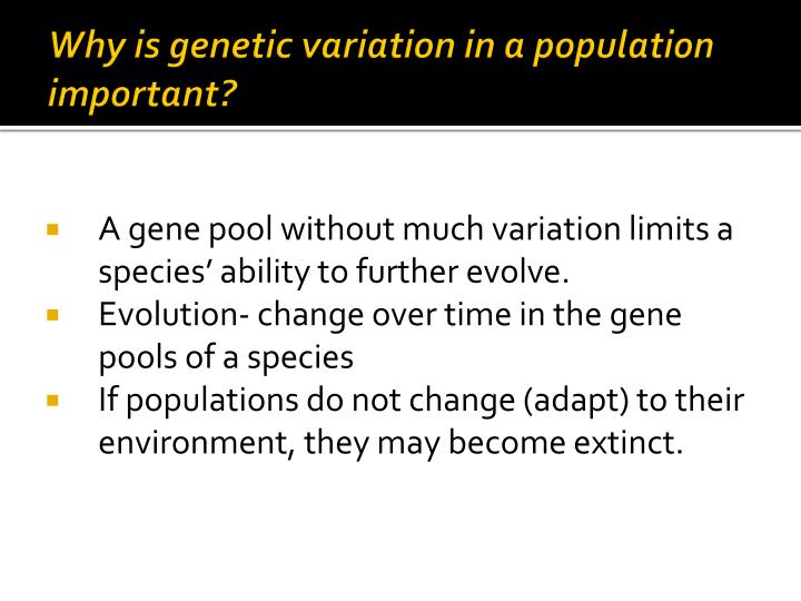 PPT - Ch. 16- Genes and Variation PowerPoint Presentation - ID:3115532