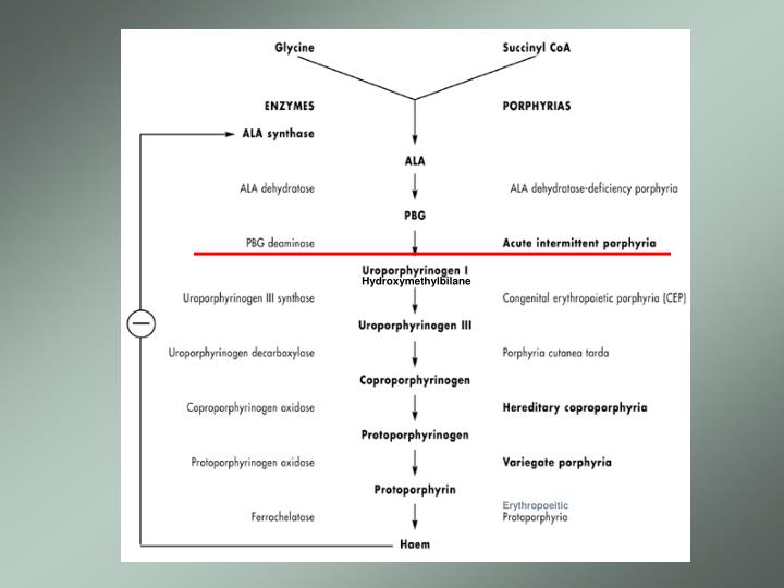 PPT - Behavioural Aspects of Acute Intermittent Porphyria PowerPoint ...