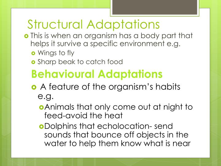 PPT - ECOSYSTEMS PowerPoint Presentation - ID:3115935