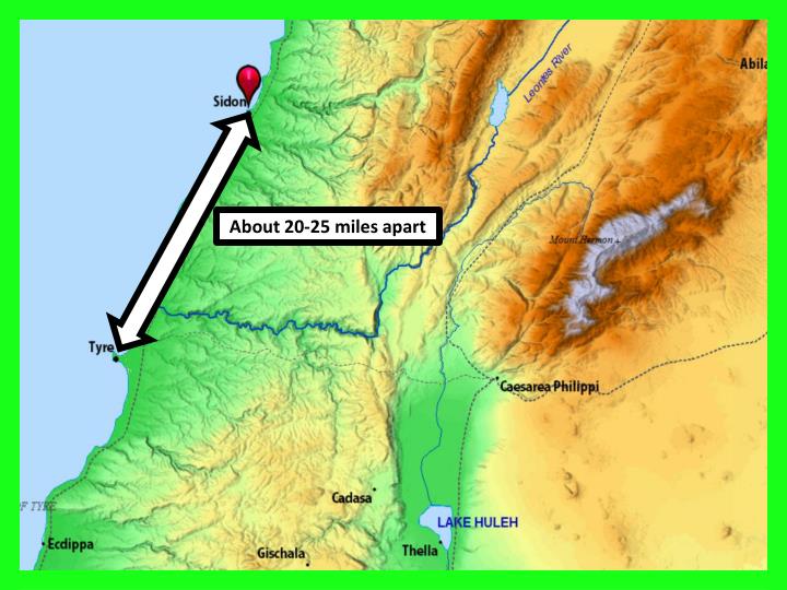 PPT - Sidon PowerPoint Presentation - ID:3116256