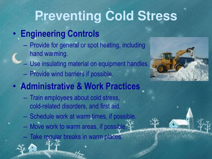 PPT - Cold Stress PowerPoint Presentation - ID:3116329