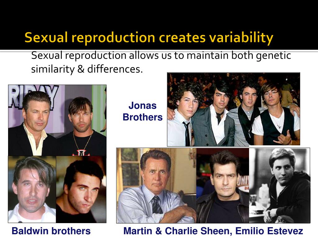 PPT - Understanding Meiosis and Sexual Reproduction: Key Processes in ...