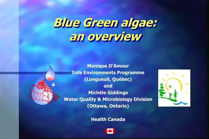 PPT - Blue Green algae: an overview PowerPoint Presentation, free ...
