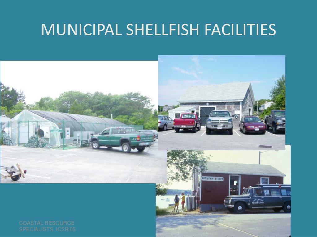 PPT - MUNICIPAL SHELLFISH RESTORATION: FORTY YEARS OF EXPERIMENTATION ...