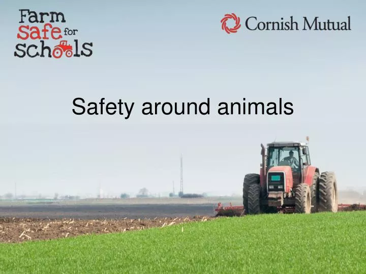 PPT - Safety around animals PowerPoint Presentation, free download - ID ...