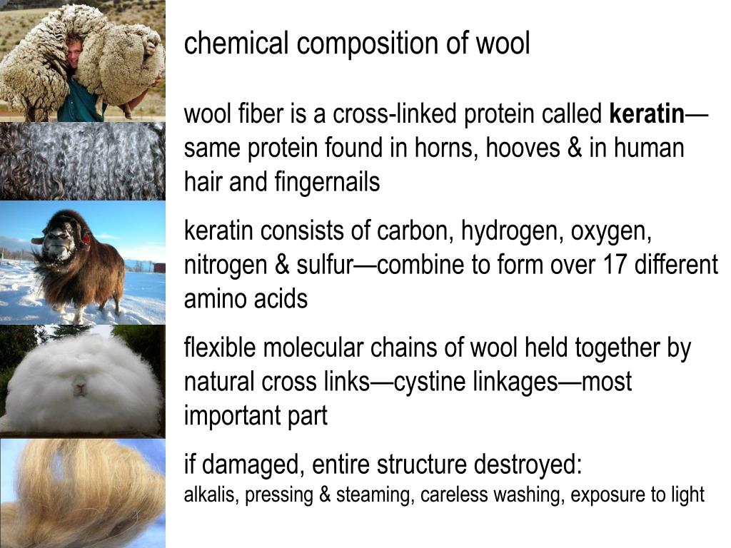 PPT - FASH 15 textiles natural protein fibers—wool PowerPoint ...