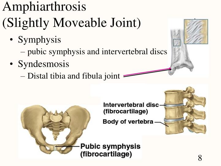 PPT - Chapter 9 Joints PowerPoint Presentation - ID:3118515