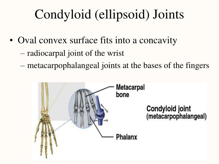 PPT - Chapter 9 Joints PowerPoint Presentation - ID:3118515
