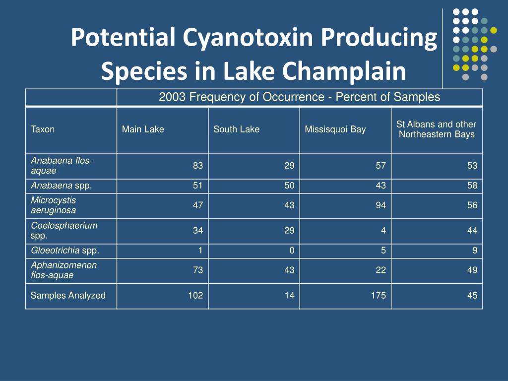 PPT - Cyanotoxins & Human Health PowerPoint Presentation, free download ...