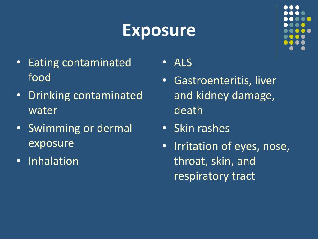 PPT - Cyanotoxins & Human Health PowerPoint Presentation, free download ...