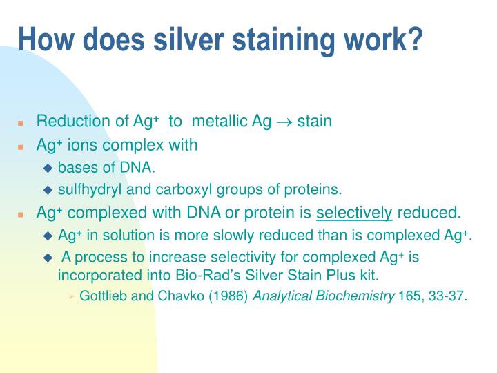 PPT - Silver Staining PowerPoint Presentation - ID:3118956