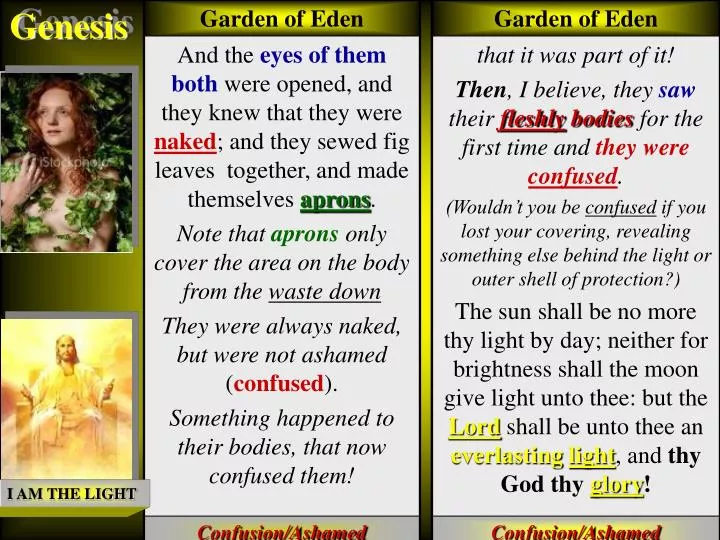 PPT - It Begins Here In the Garden of Eden PowerPoint Presentation ...