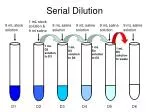 PPT - Serial Dilution PowerPoint Presentation - ID:3119682
