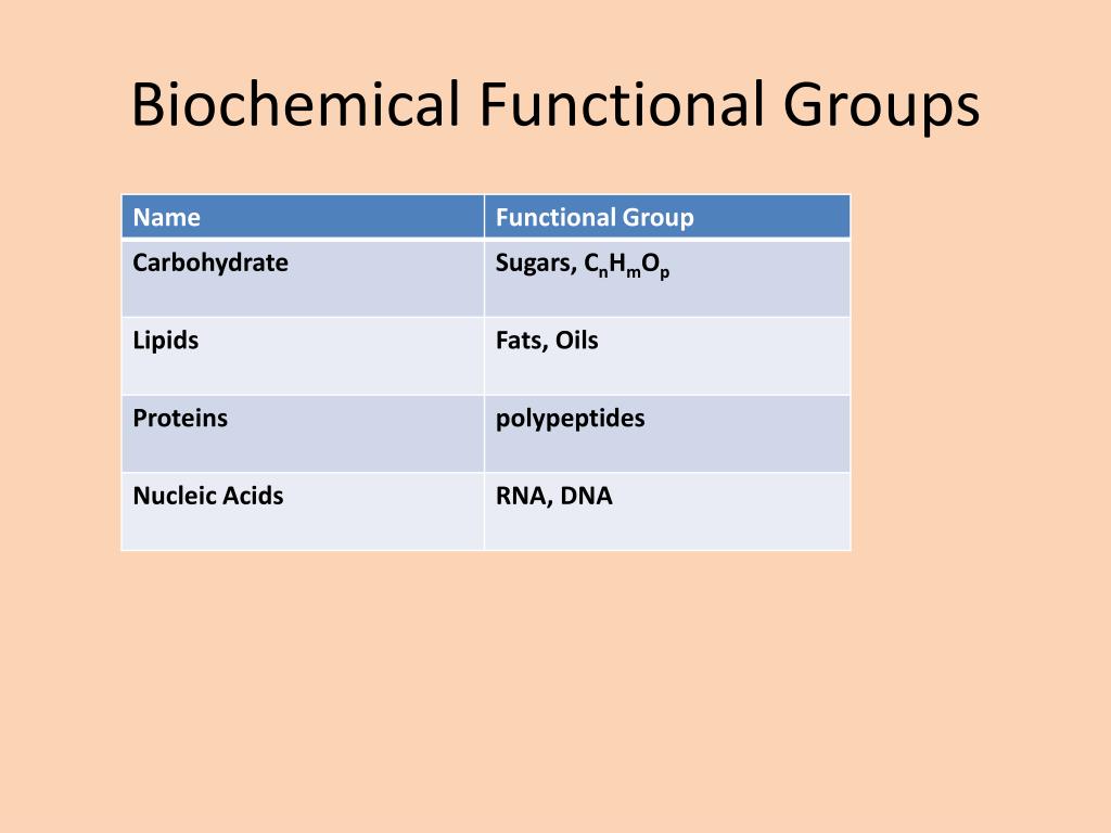 PPT - ORGANIC CHEMISTRY PowerPoint Presentation, free download - ID:3119811