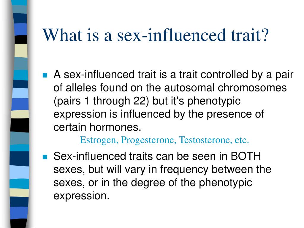 Ppt Sex Influenced Traits Powerpoint Presentation Free Download Id